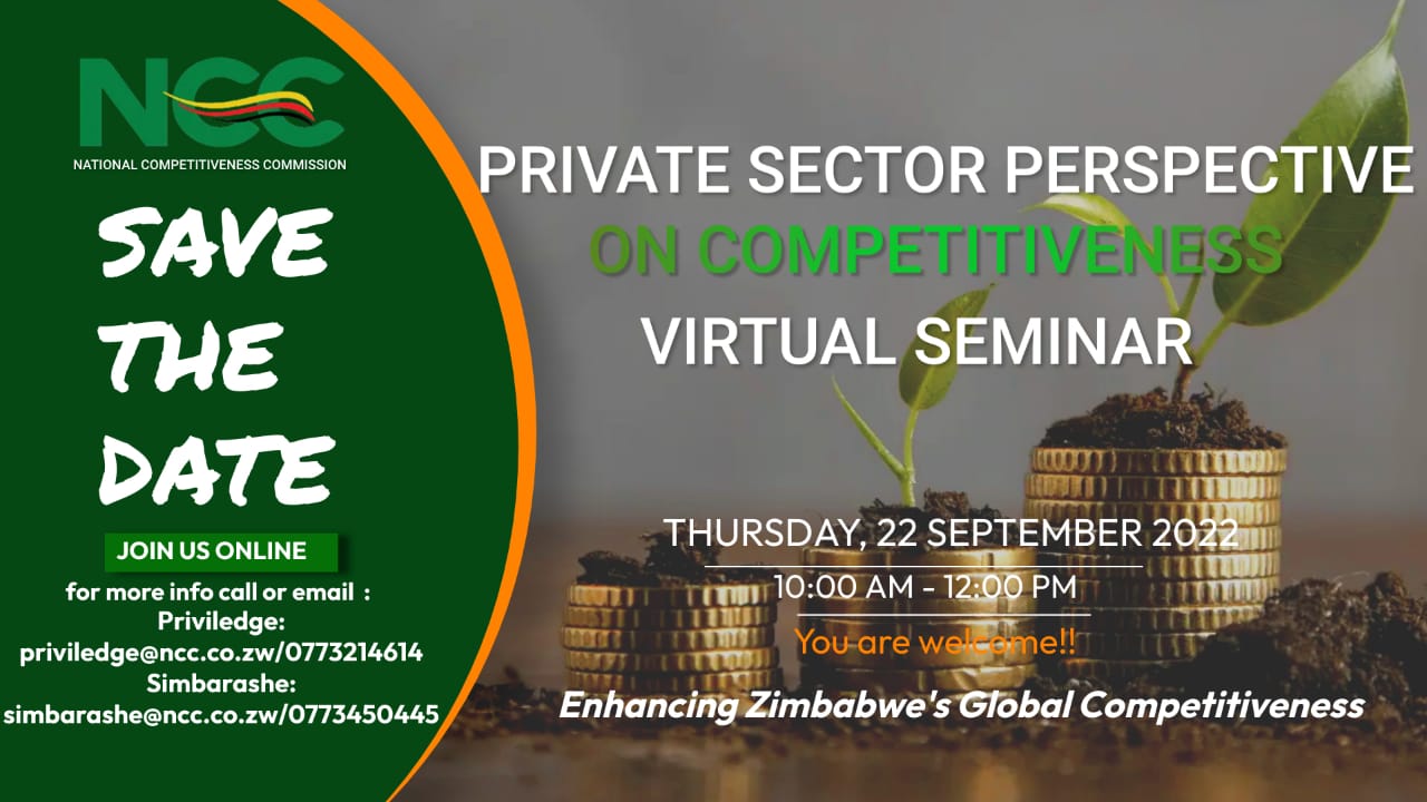 Private Sector Perspective on Competitiveness Virtual Seminar ...