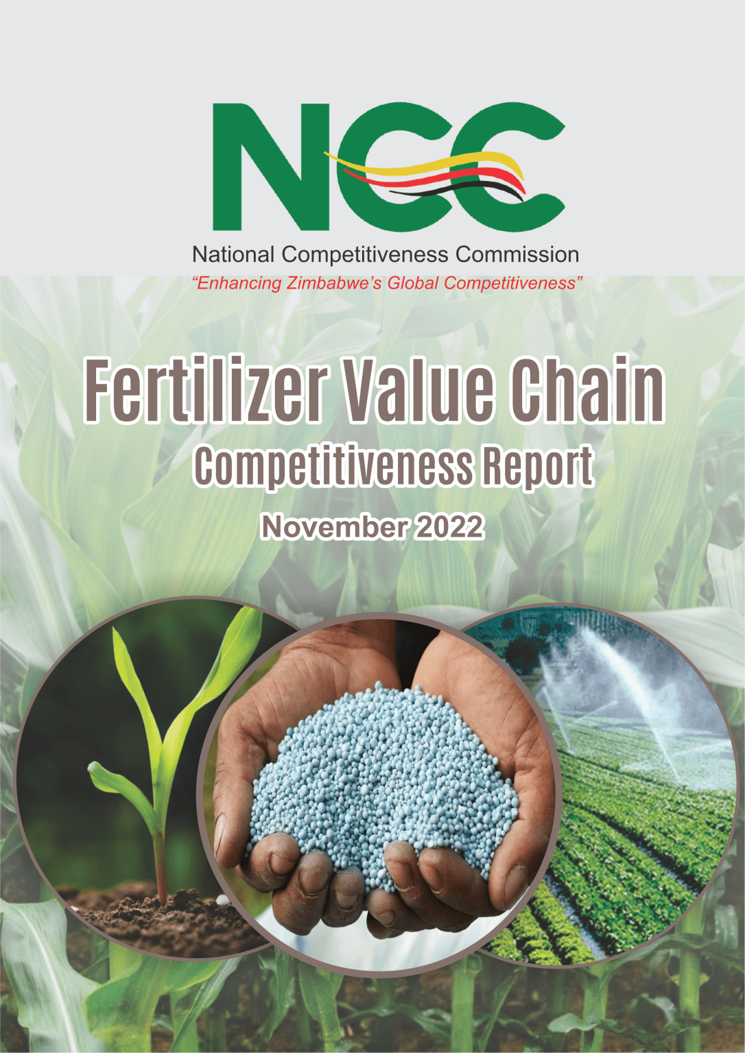 2022 Fertilizer Value Chain Competitiveness Report - National ...